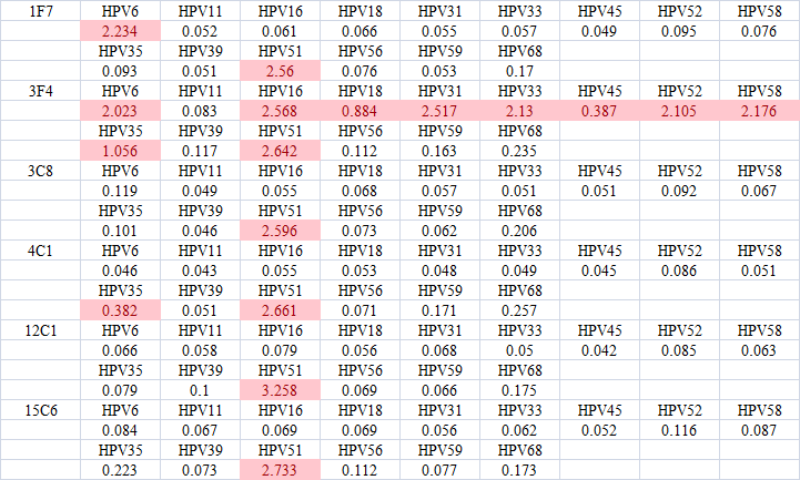 HPV 51-L1小鼠单克隆抗体（筛选套装）