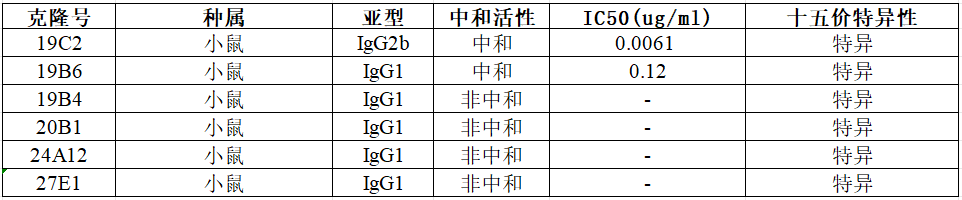 HPV 31-L1小鼠单克隆抗体（筛选套装）
