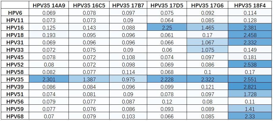 HPV 35-L1小鼠单克隆抗体（筛选套装）
