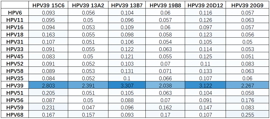 HPV 39-L1小鼠单克隆抗体（筛选套装）