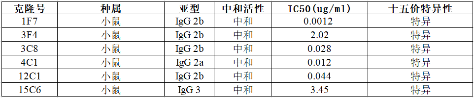 HPV 51-L1 小鼠单克隆抗体(3C8)