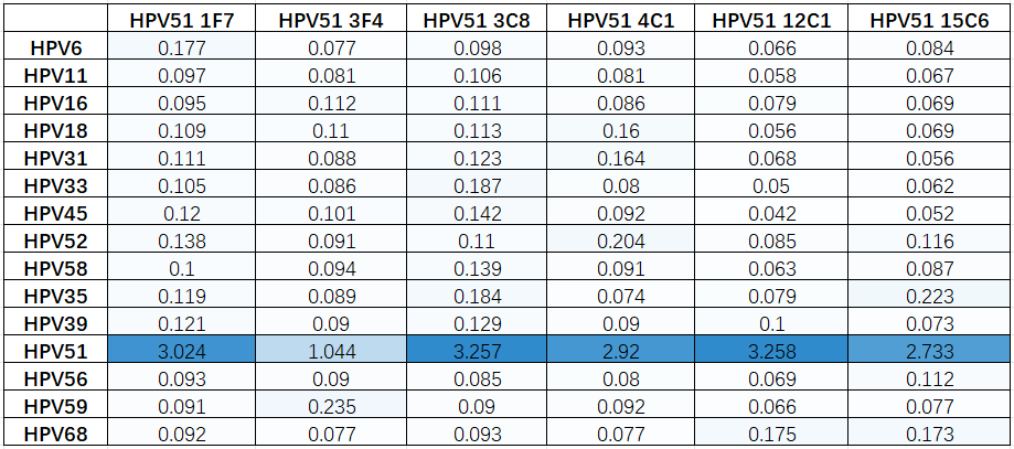HPV 51-L1小鼠单克隆抗体（筛选套装）