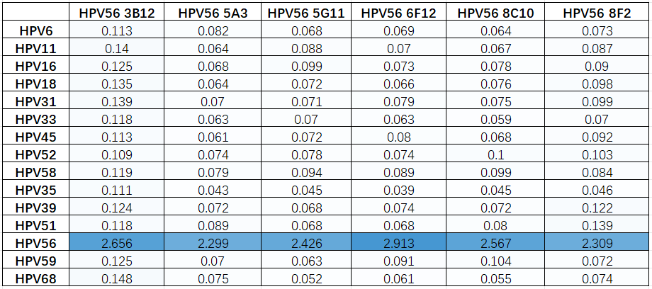 HPV 56-L1 小鼠单克隆抗体(8C10)