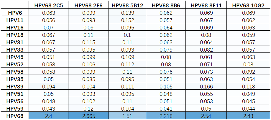 HPV 68-L1 小鼠单克隆抗体(10G2)